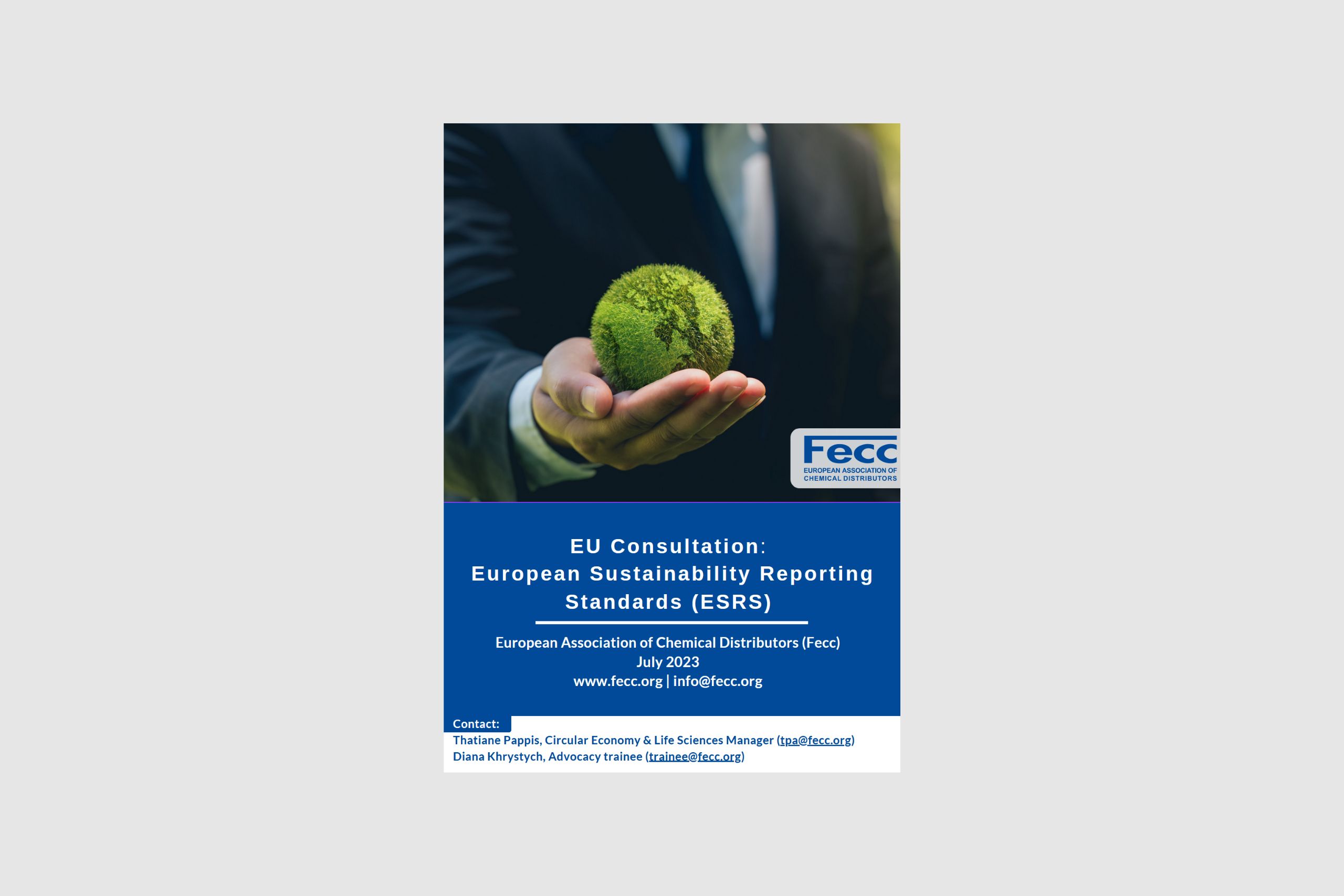Eu Consultation European Sustainability Reporting Standards Esrs Fecc